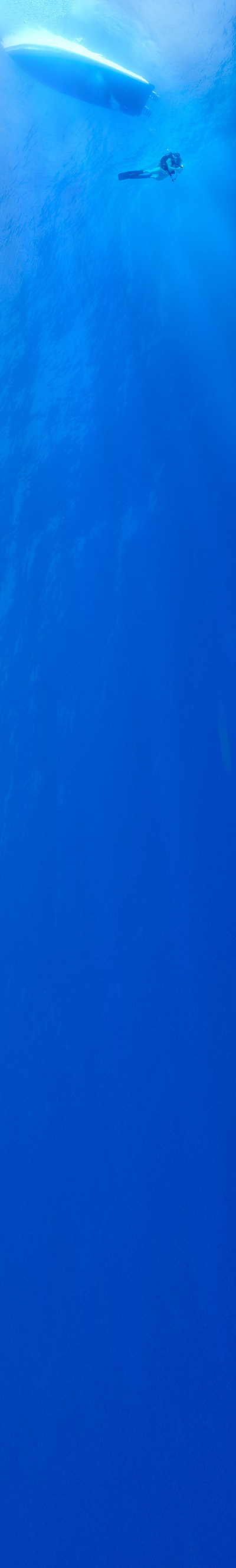 Blue Ocean Adventures - Resort and Liveaboard Dive Travel